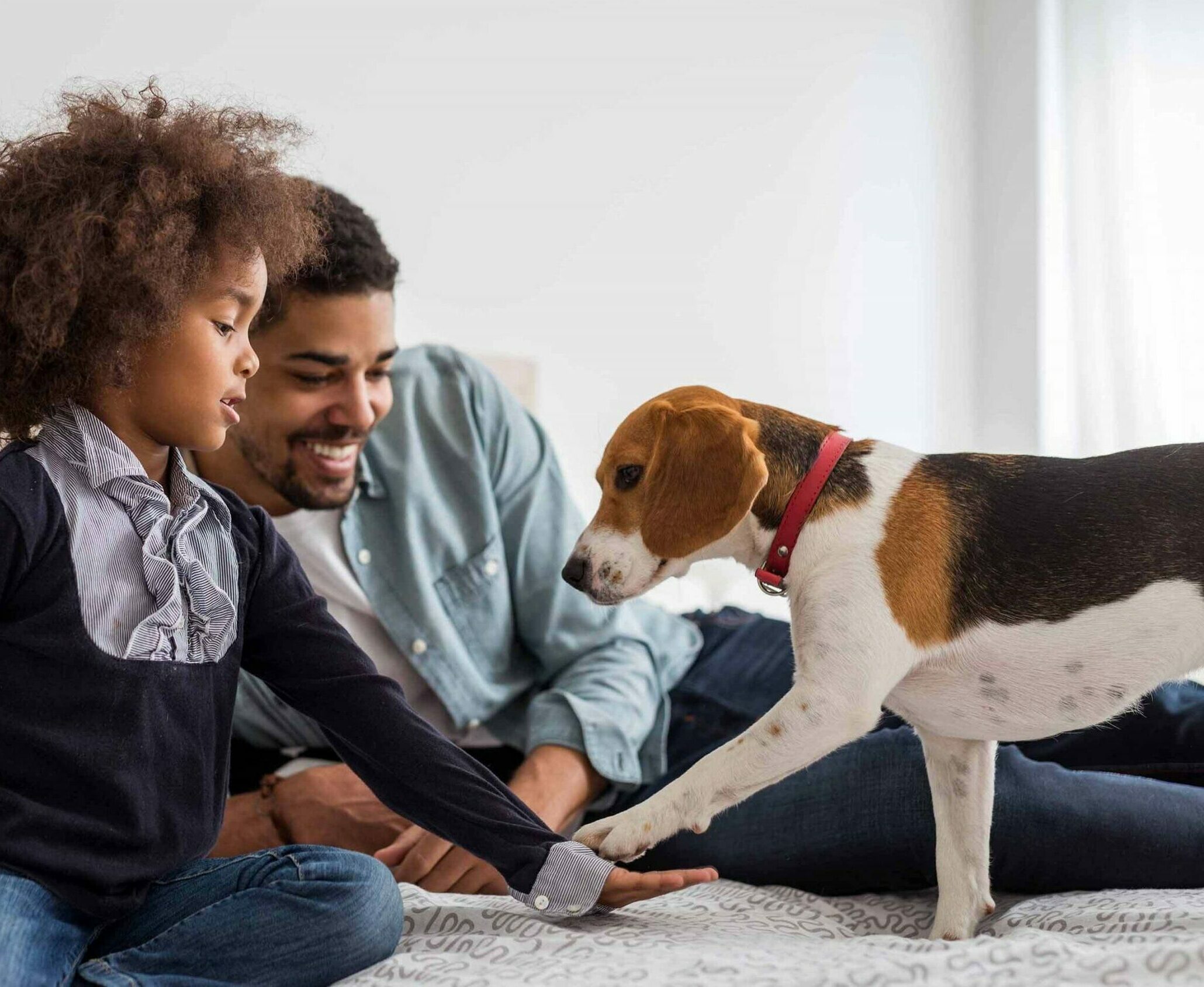 Our Impact | About | HABRI