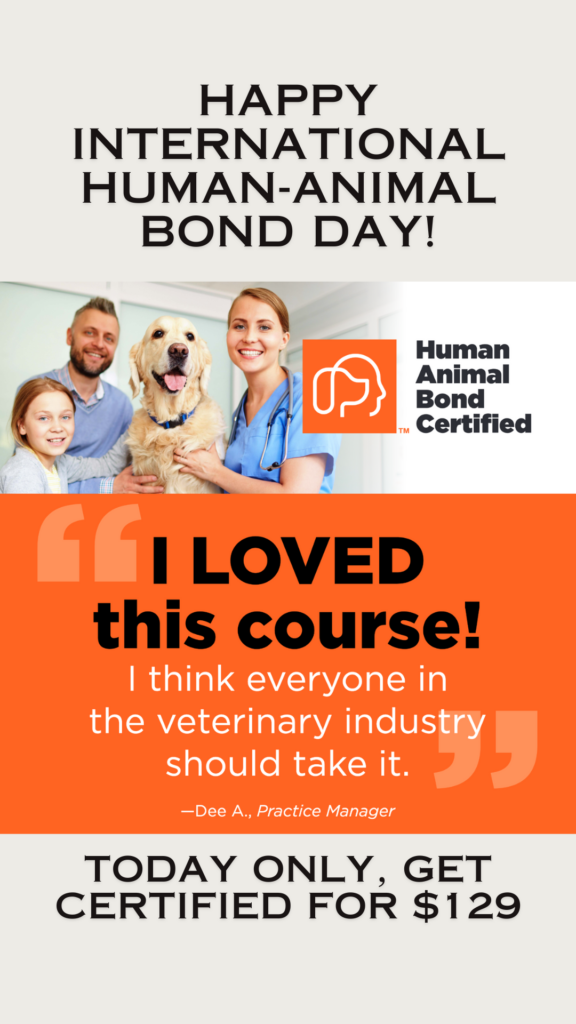Celebrate International Human-Animal Bond Day by Getting Certified in ...