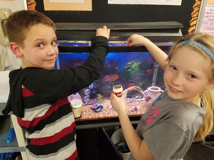 Pets in the Classroom: What are the Social, Behavioral, and Academic ...