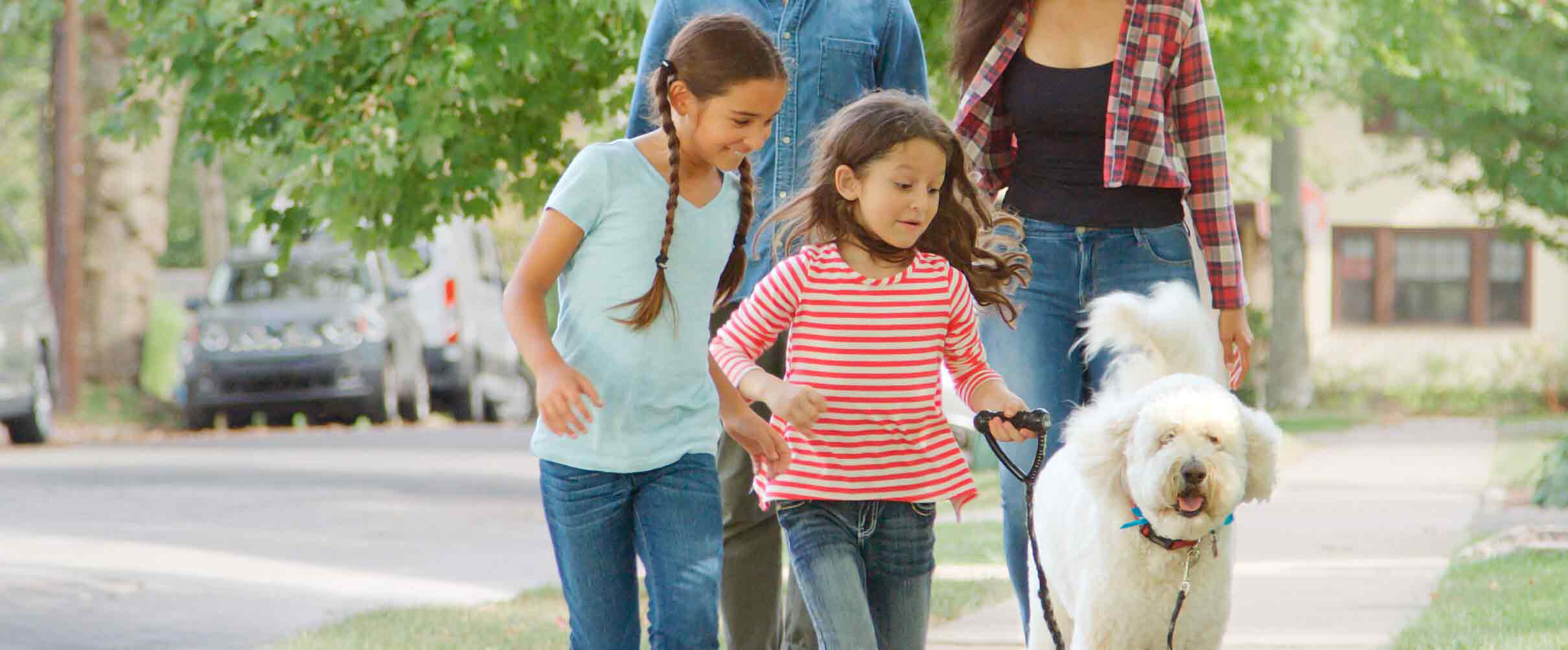 Annual Request for Proposals | Funding Opportunities | Grants & Funding ...