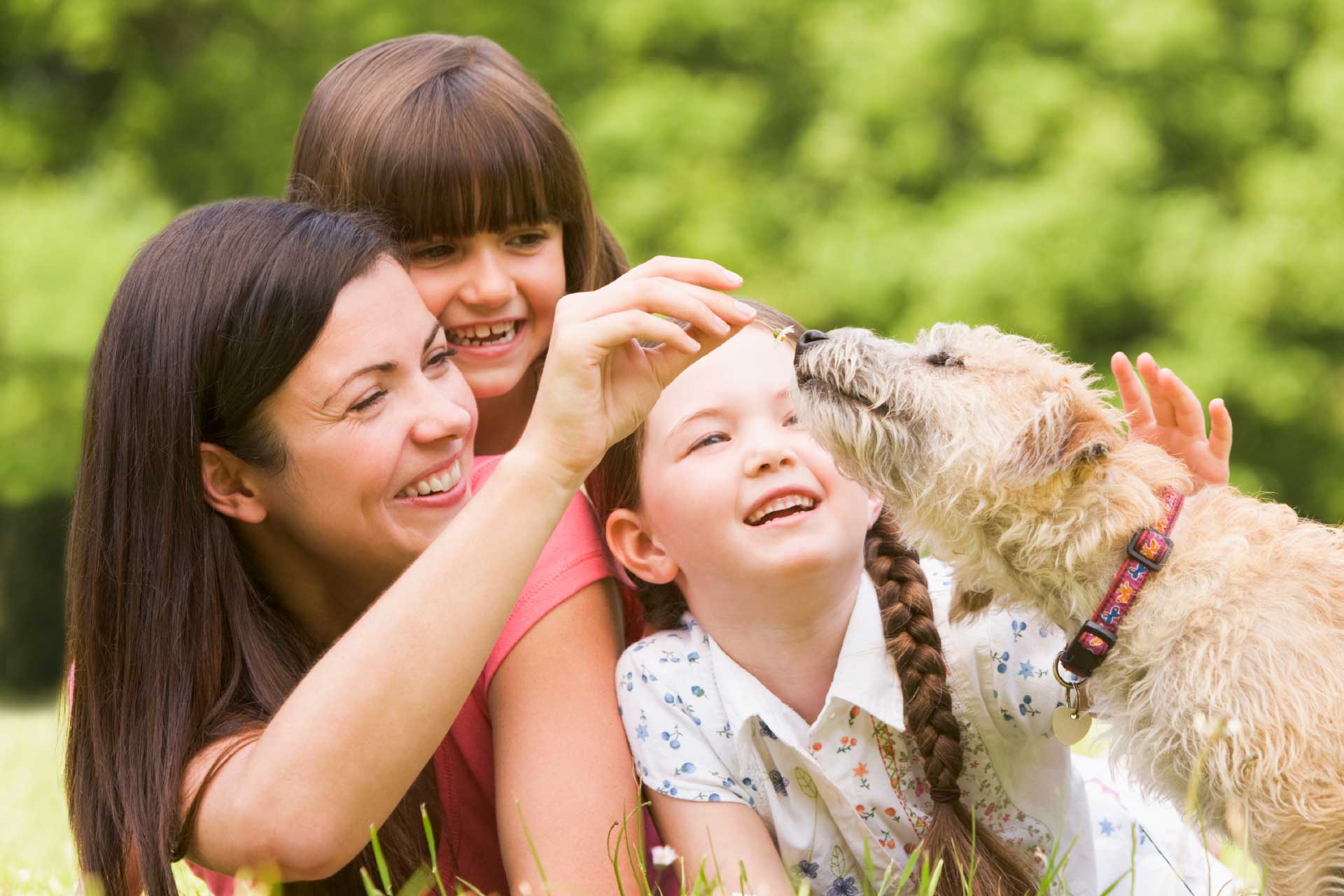 Get Involved | HABRI