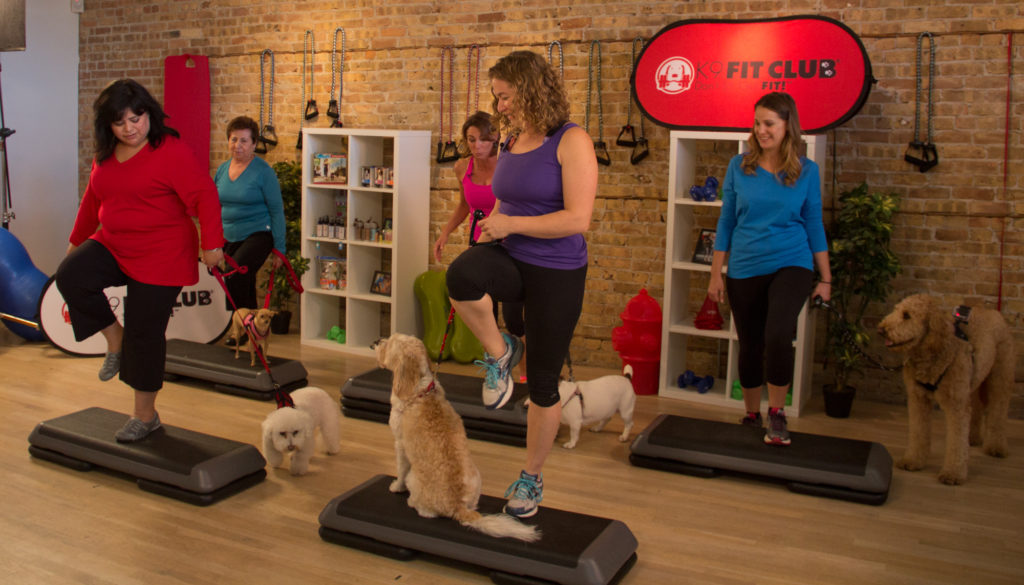 Cardiovascular Health | Healthy Aging | Research | HABRI